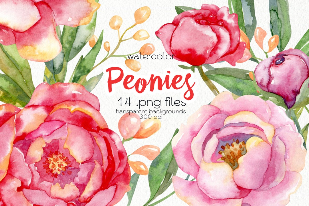 Watercolor Spring Flowers Clipart / Peony Flowers / PNG Files / Instant ...