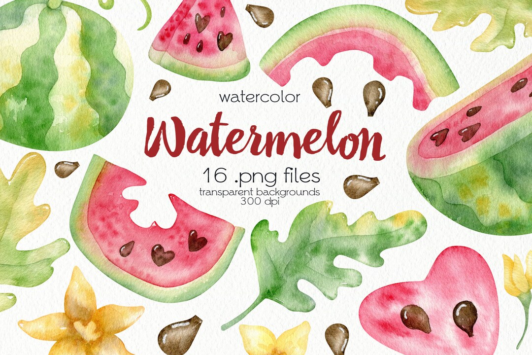 Watercolor Watermelon Clipart / Summer Fruit / PNG Files / Instant ...