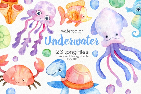 Watercolor Underwater Clipart / Sea Creatures / Jellyfish | Etsy