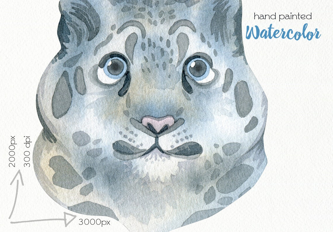 Cute Wild Cats Clipart / Hand Painted Watercolor Animals / | Etsy