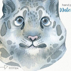 Cute Wild Cats Clipart / Hand Painted Watercolor Animals / Snow Leopard ...