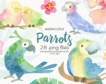 Watercolor Tropical Birds Clipart / Parrot Clip Art / Exotic - Etsy