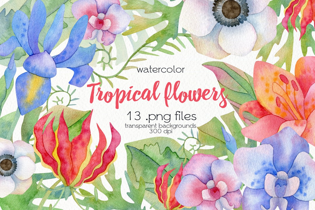 Watercolor Tropical Clipart / Summer Leaves and Flowers / Exotic Floral ...