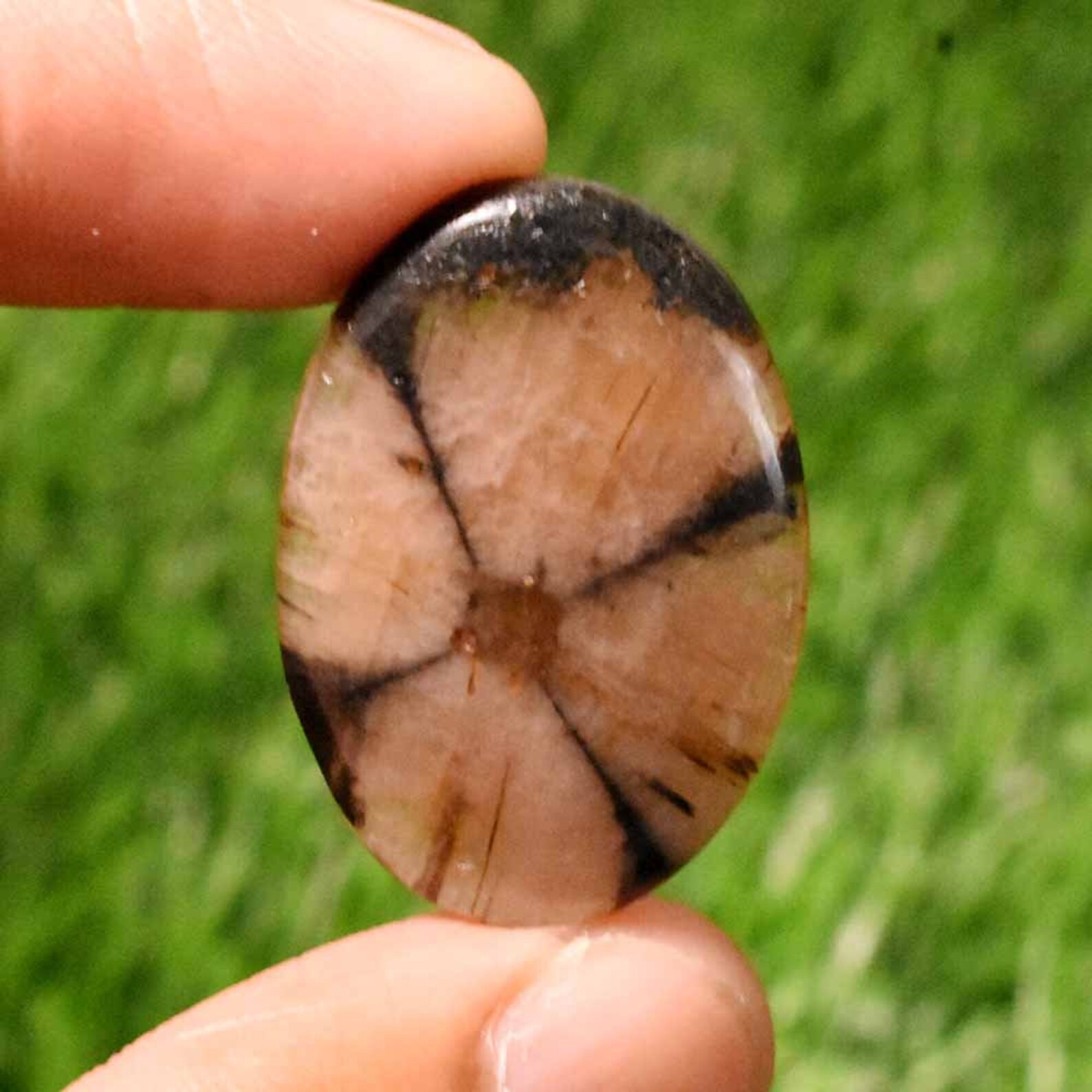 New Arrival 26 Cts Natural Chiastolite Gemstone Chiastolite | Etsy