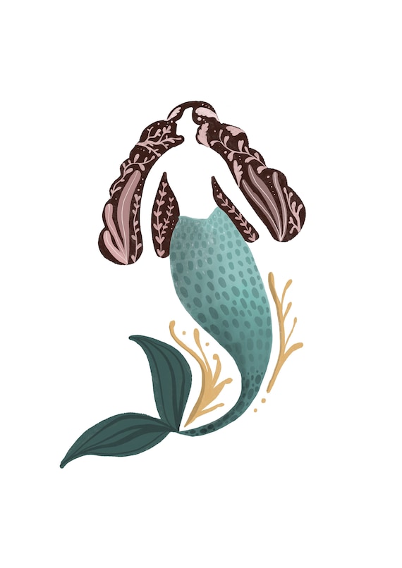 Siren Greek Mythology Drawings