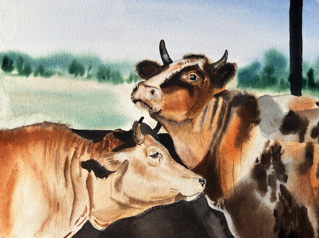 Original A3 Watercolor Drawing of Two Cows Animal Art Handmade Gift ...
