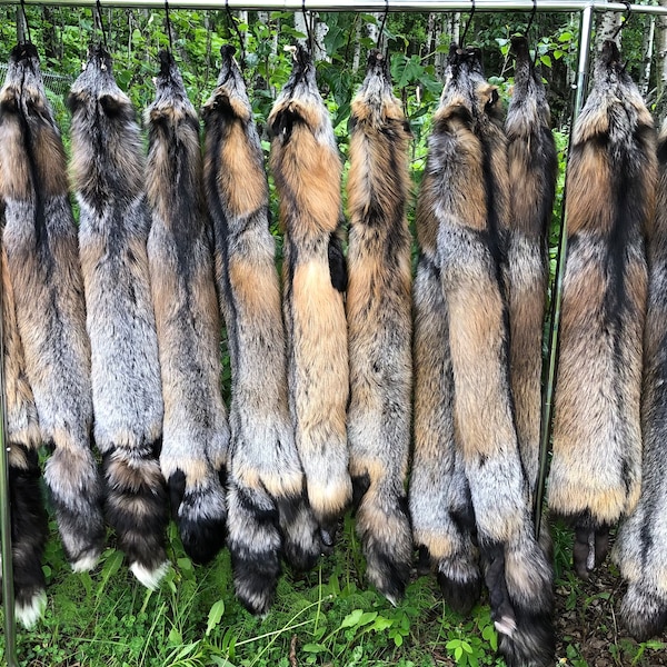 Fox Pelt - Etsy