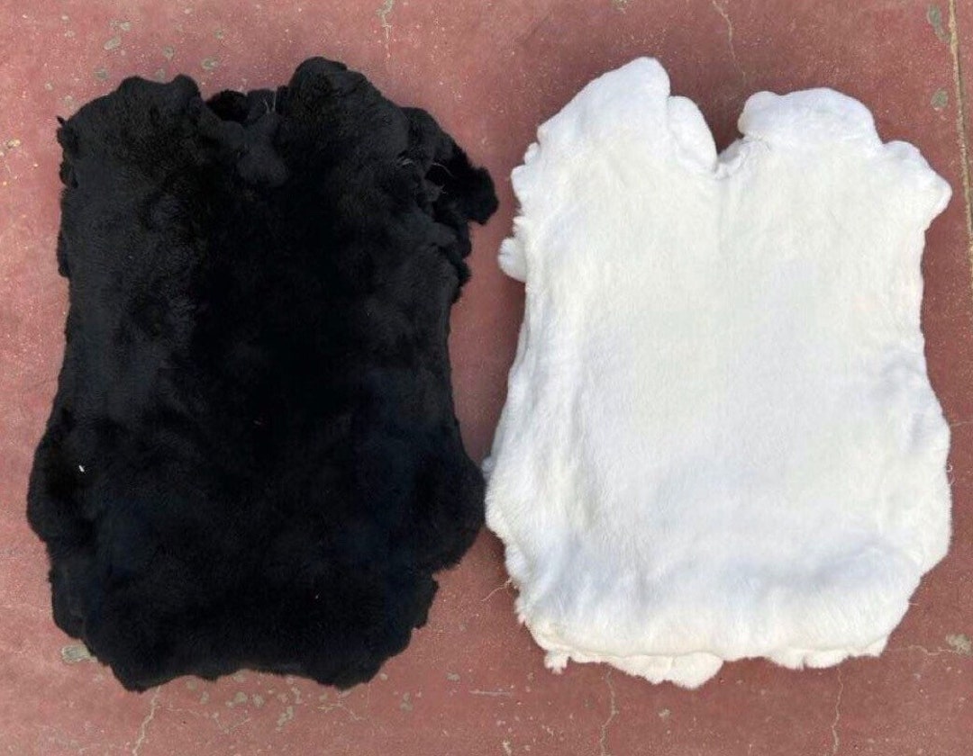 Professionally Tanned Rex Rabbit Fur Pelts 1 Quality Free Shipping - Etsy