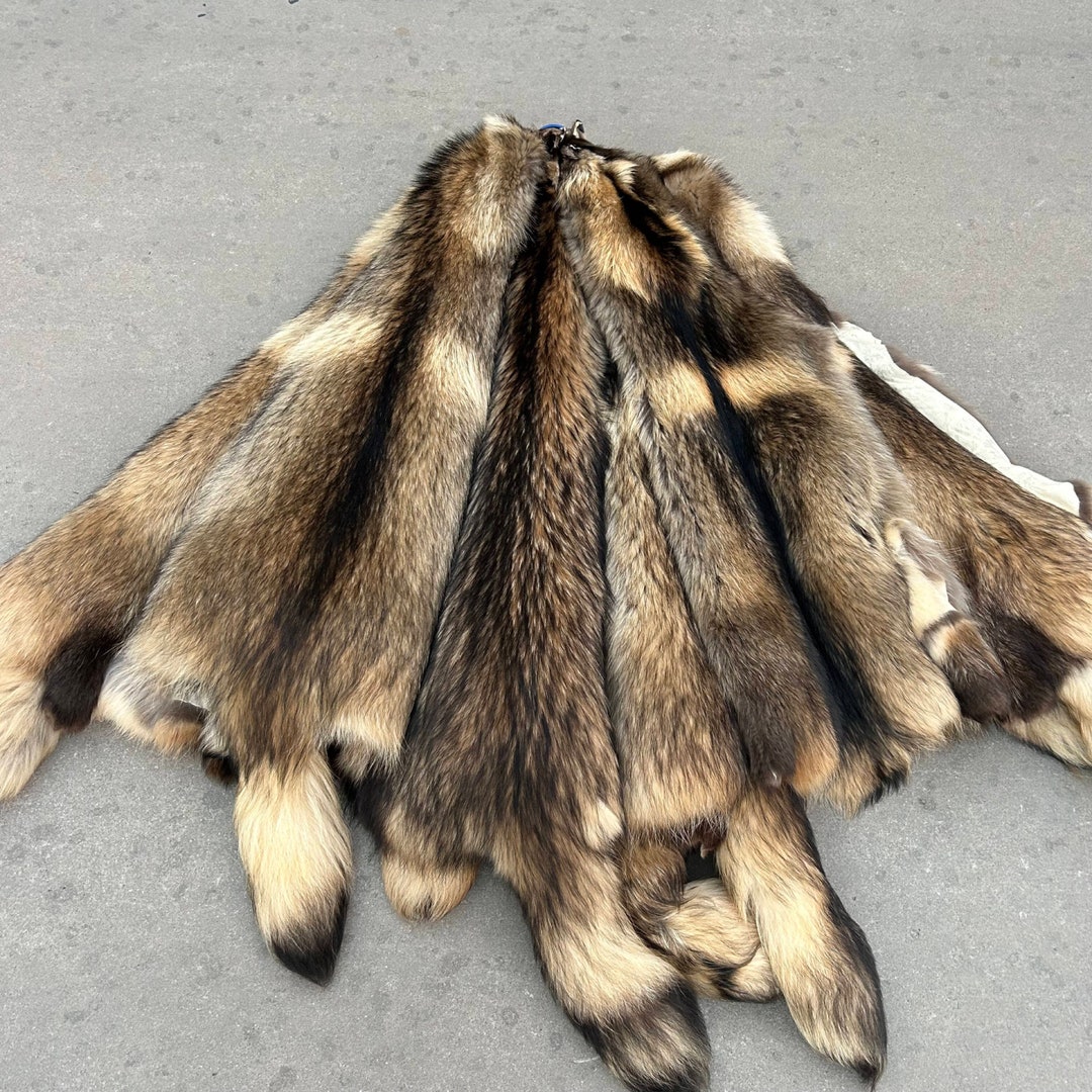 3XL Tanned Finn Raccoon Dog Tanuki Fur Pelt finland FREE SHIPPING New ...