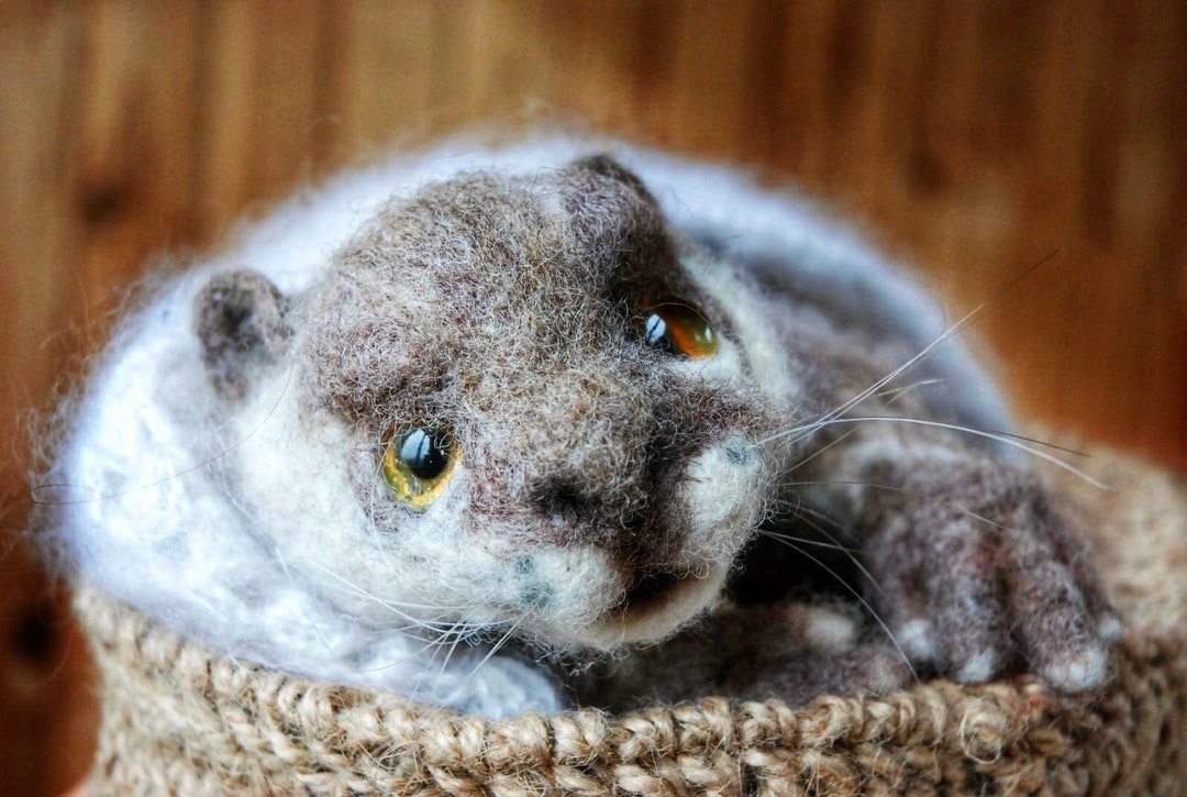 Otter Realistic Animal. Life Size. Handmade Toys Needle Felting. - Etsy