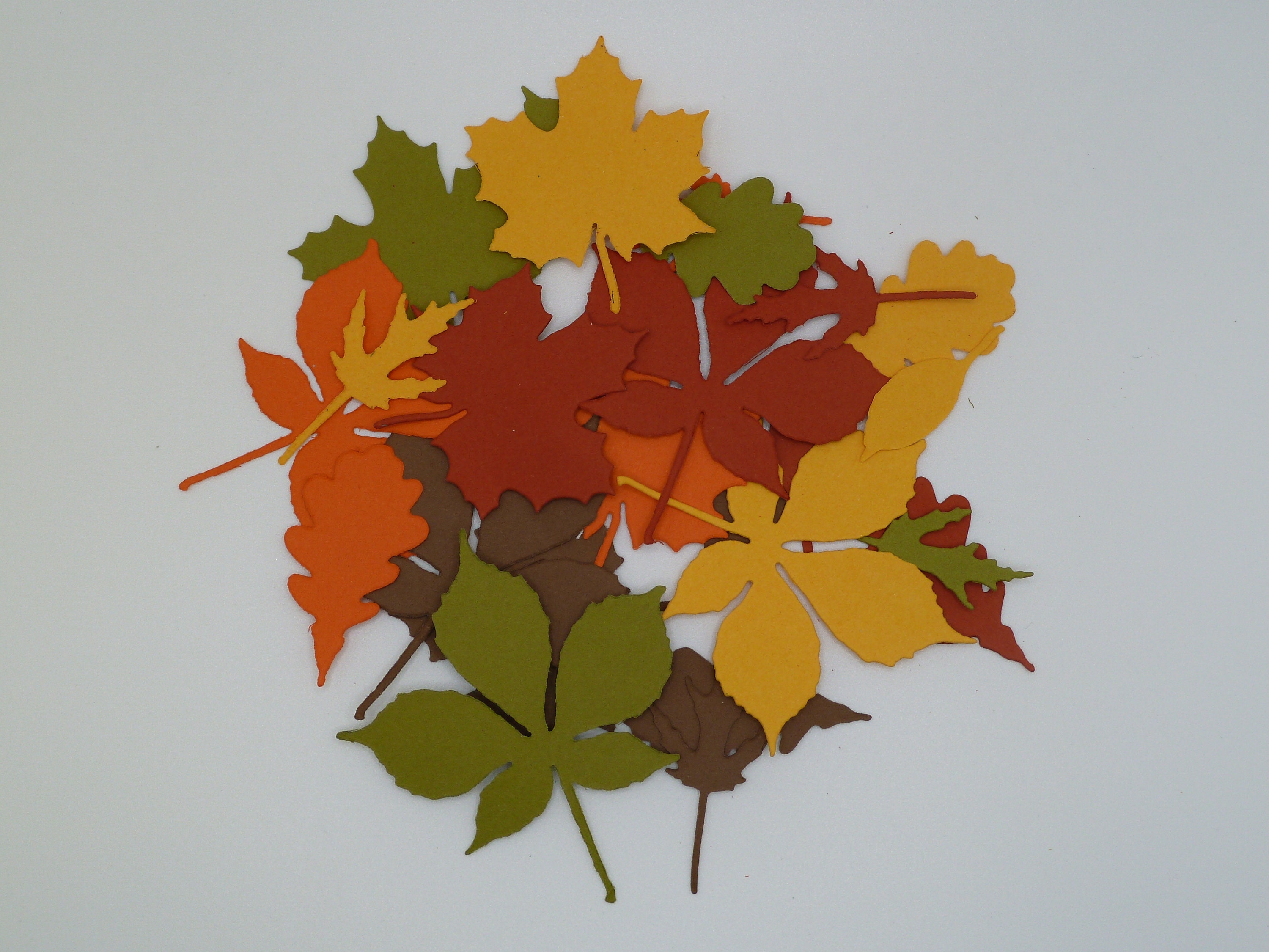 Fall Leaves Embellishments Fall Autumn Leaves Die Cuts Maple | Etsy