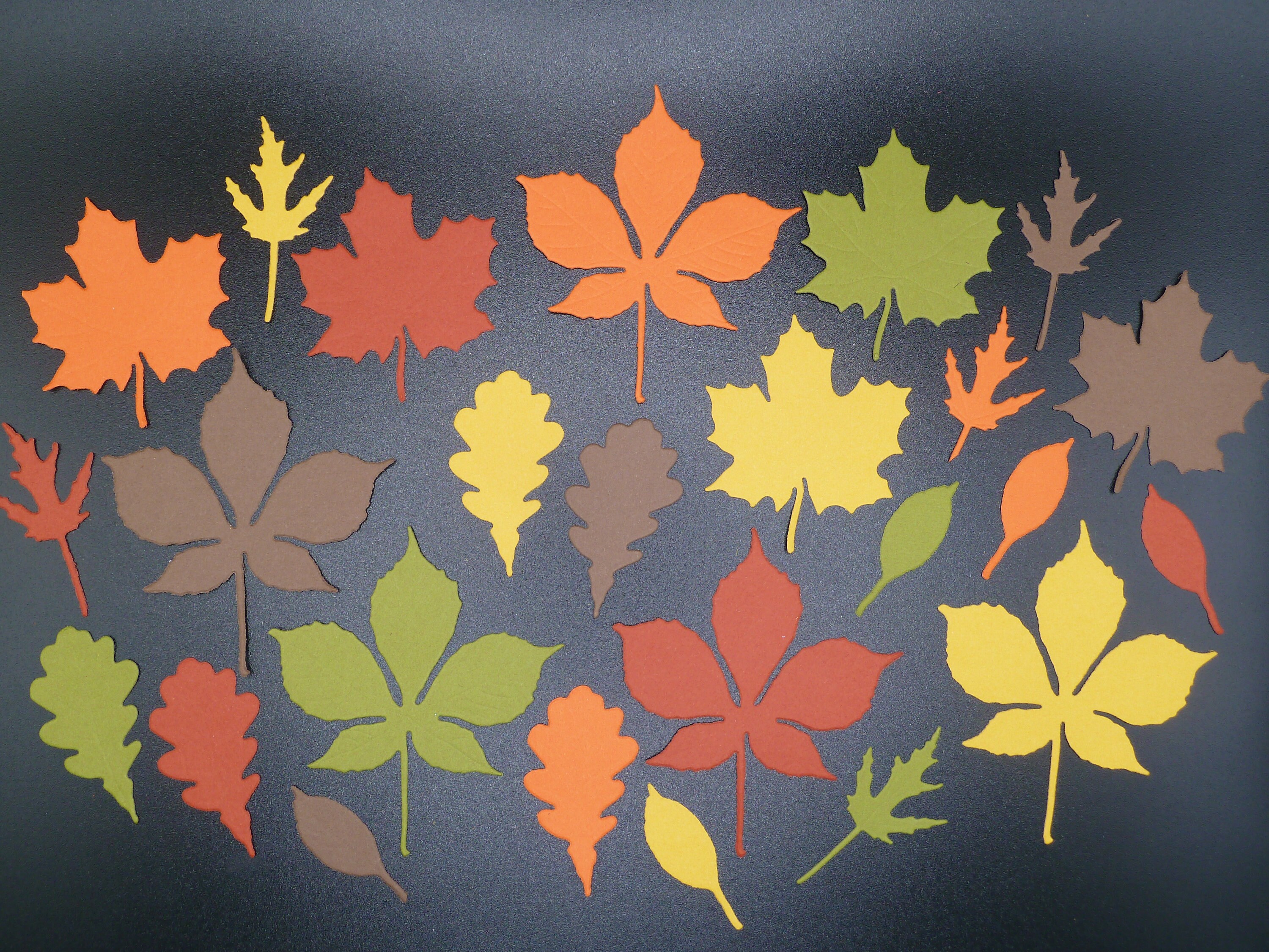Fall Leaves Embellishments Fall Autumn Leaves Die Cuts Maple | Etsy