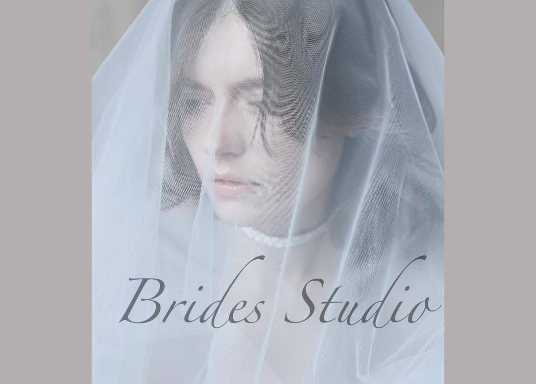 Light Baby Blue Wedding Veil - Etsy