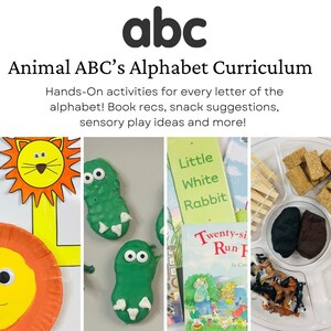 Alphabet Curriculum - ABC ANIMALS - DIGITAL - Etsy