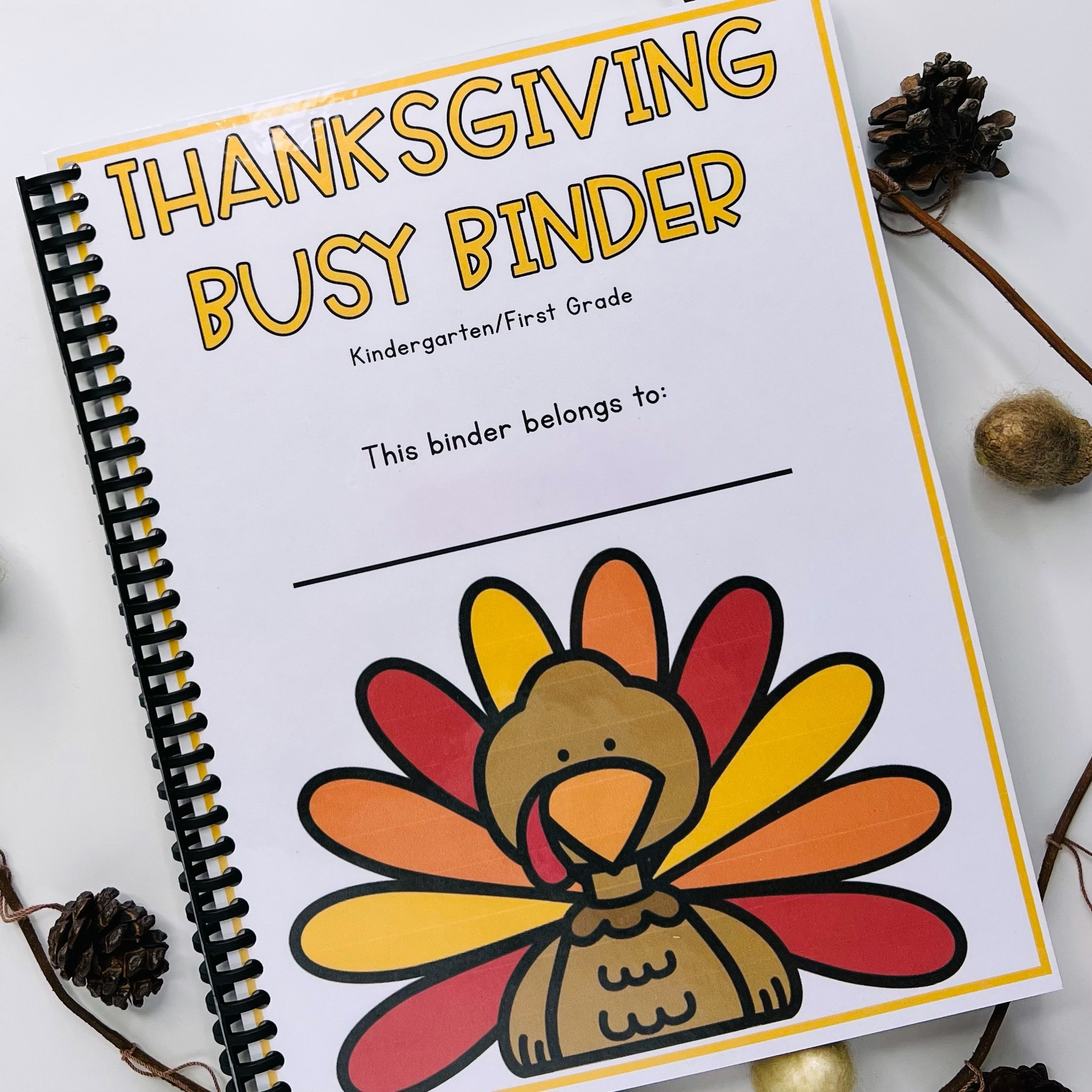 Thanksgiving Busy Binder for K/1st | Busy Book | Activity Binder ...