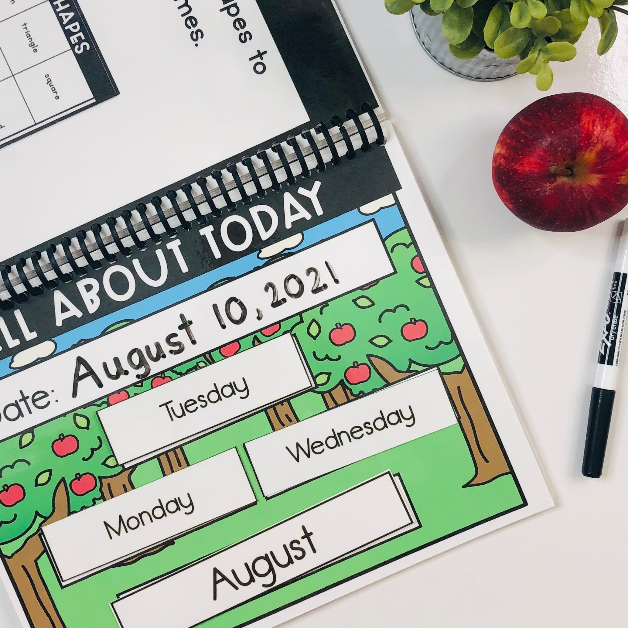 Fall Busy Binder K-1st | Busy Book | Activity Binder | Kindergarten ...