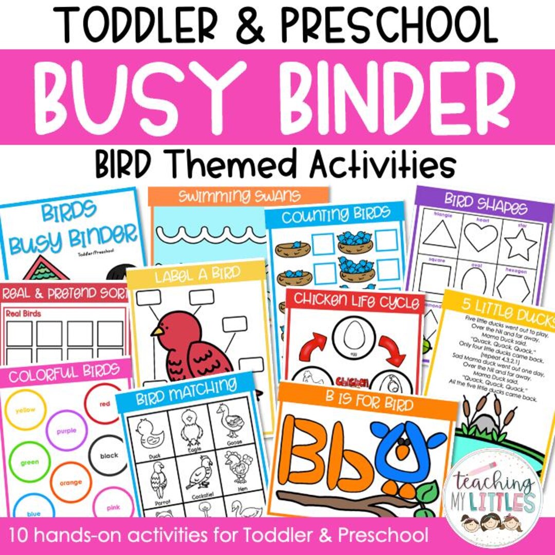 Birds Activity Binder | Toddler & Preschool Learning (digital Download ...