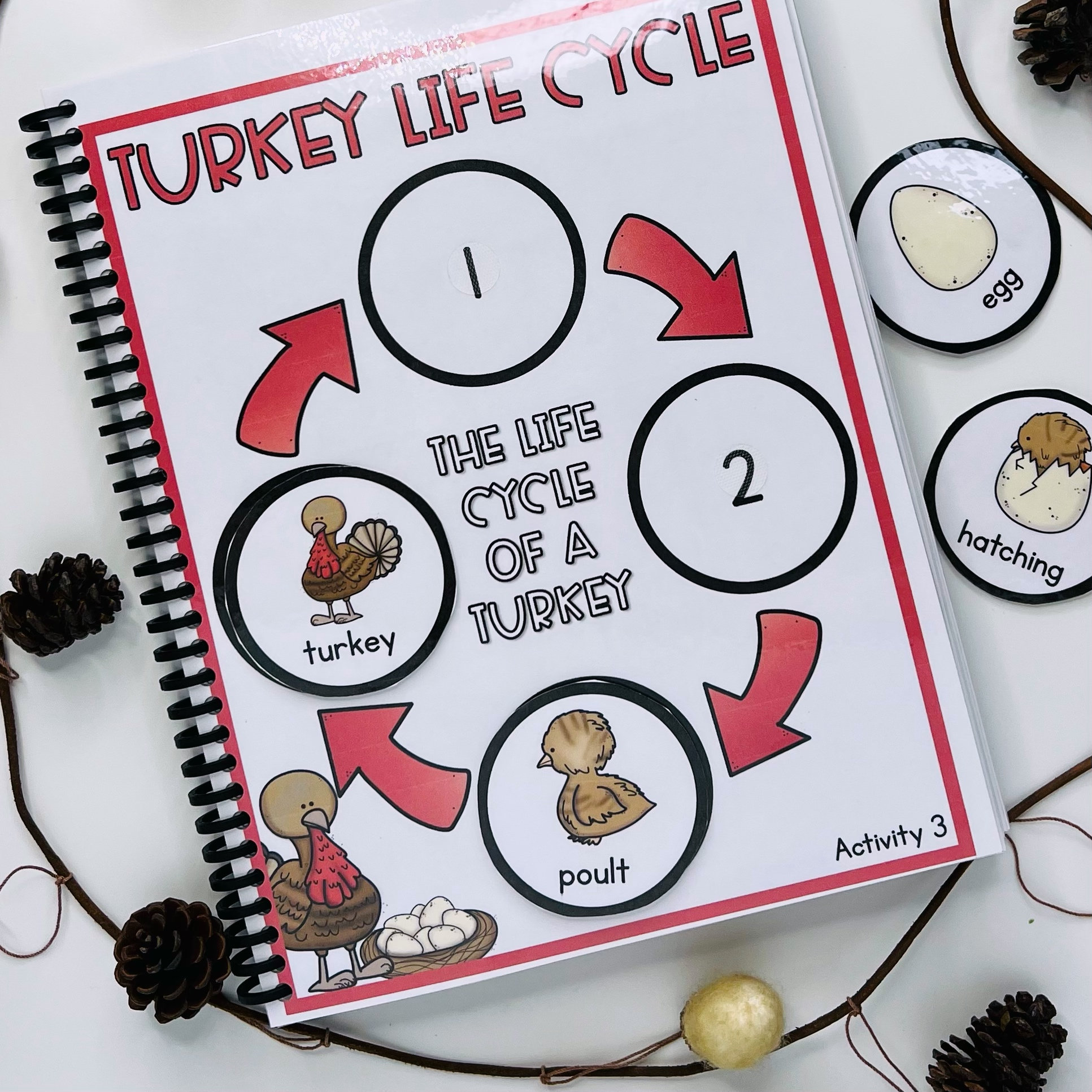 Thanksgiving Busy Binder for K/1st | Busy Book | Activity Binder ...