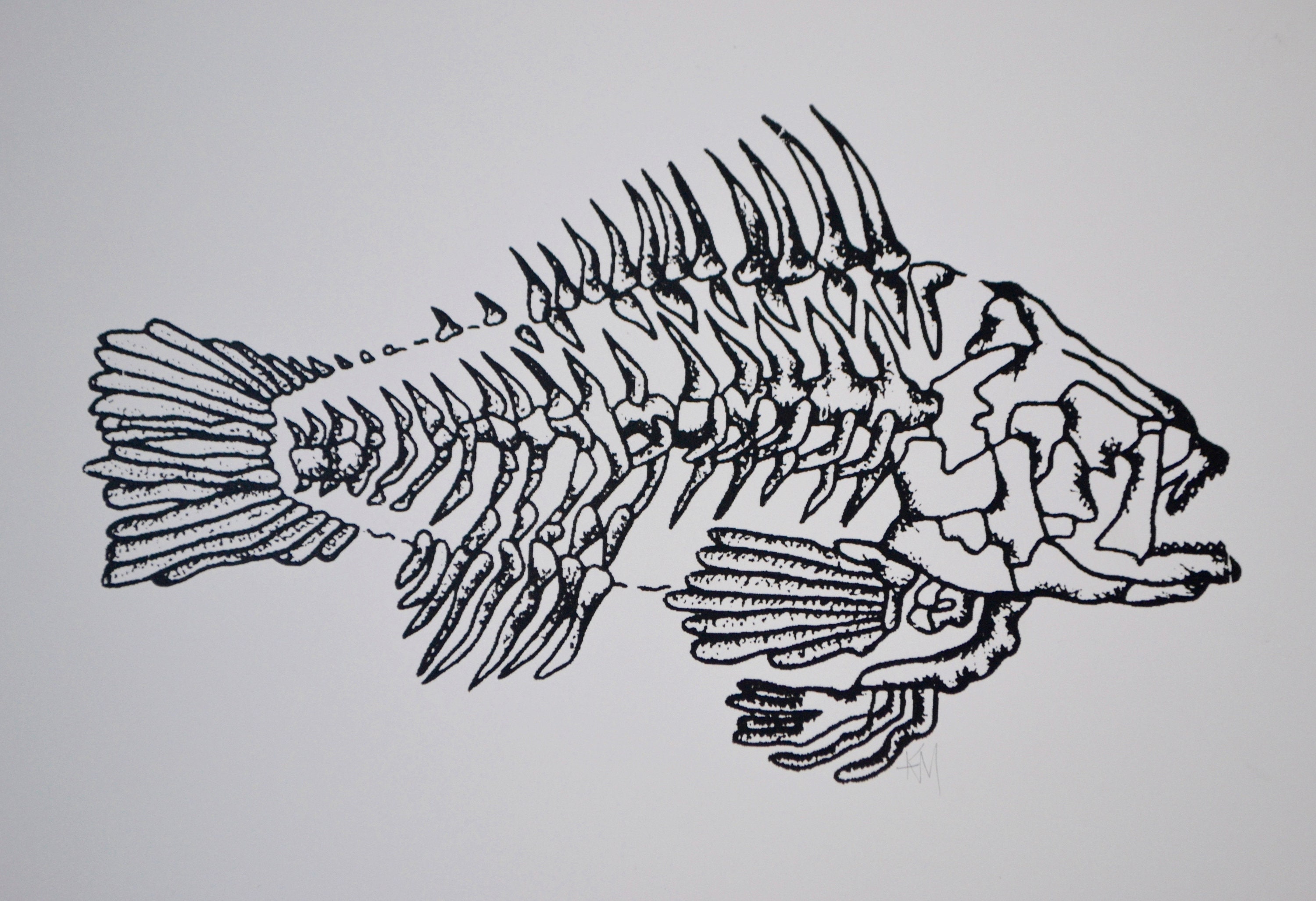 Original Black Fish Skeleton Silkscreen Print - Etsy