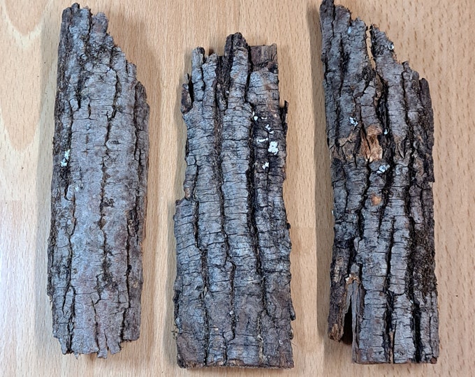 Curved Bark With Texture, 3-pack. Crafting, Art, Terrarium, Habitat ...