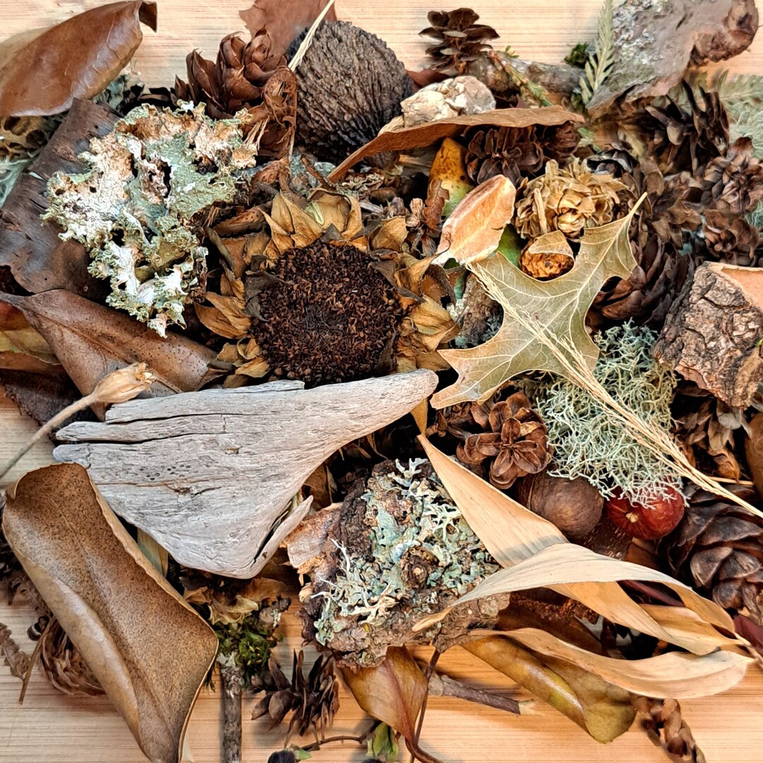Homemade Unscented rainforest Artisan Potpourri and Bowl Filler, 5 Cups ...