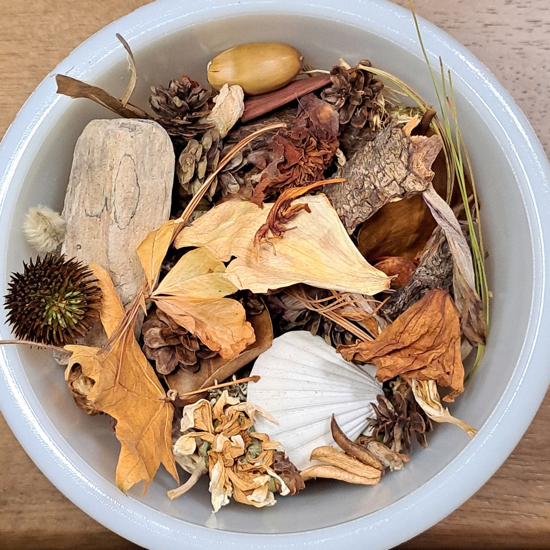 Homemade Unscented pacific Northwest Forest Artisan Potpourri and Bowl ...