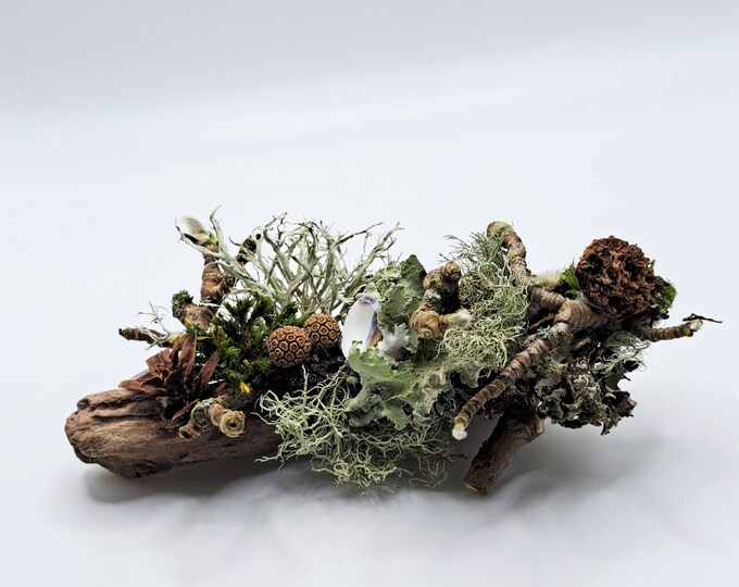 Handmade Miniature Fallen Log Scene for a Fairy Garden - Etsy