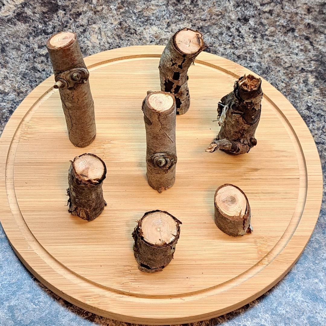7 Live Edge Miniature Logs and Stumps. Rustic Fairy Garden - Etsy