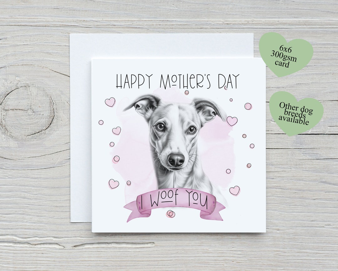 Mothers Day Card From the Dog, Whippet Lover, Dog Lover Card, Dog Mum ...