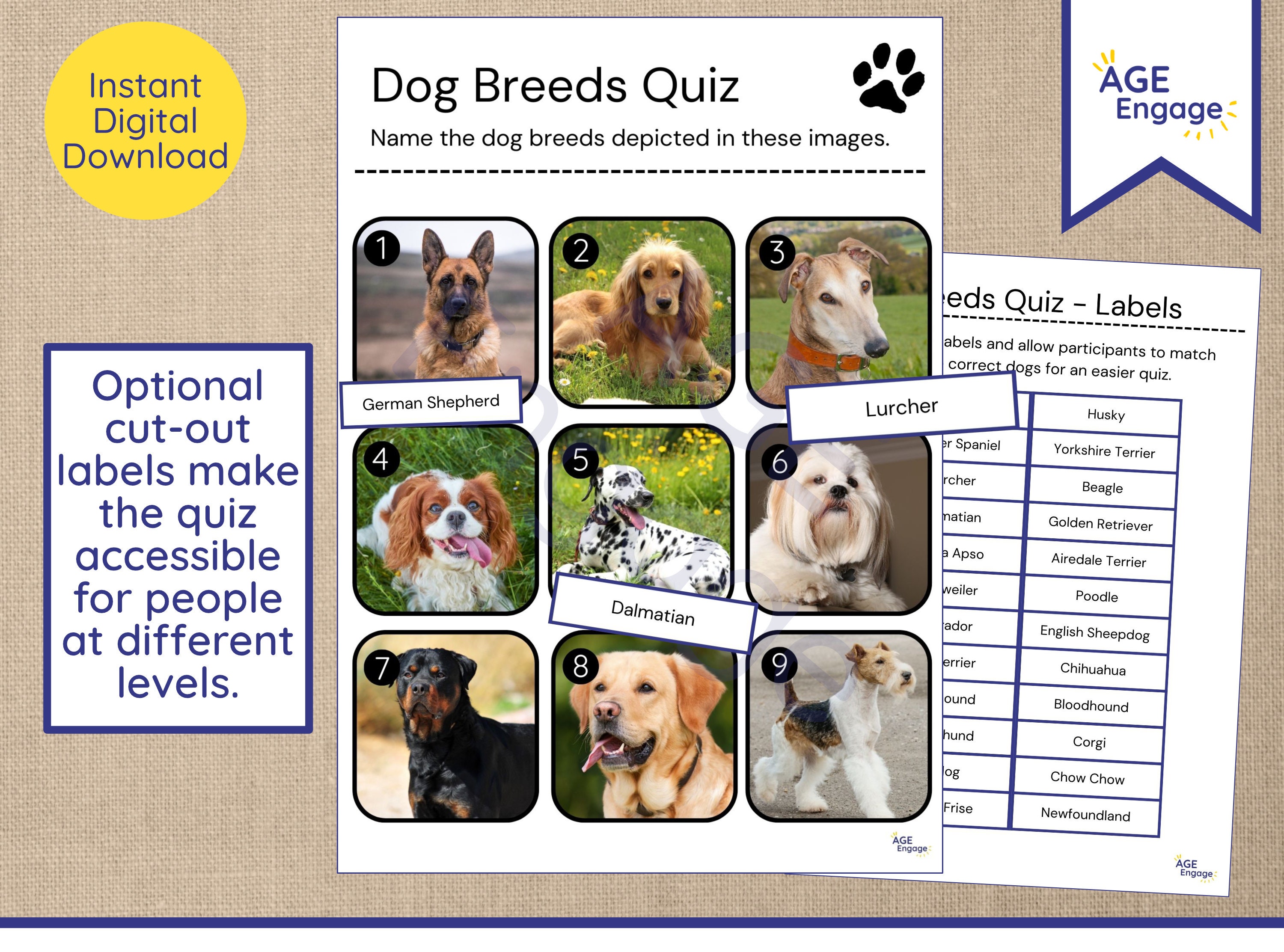 Dog Breeds Picture Quiz - Printable Senior Game - Dementia Activity ...