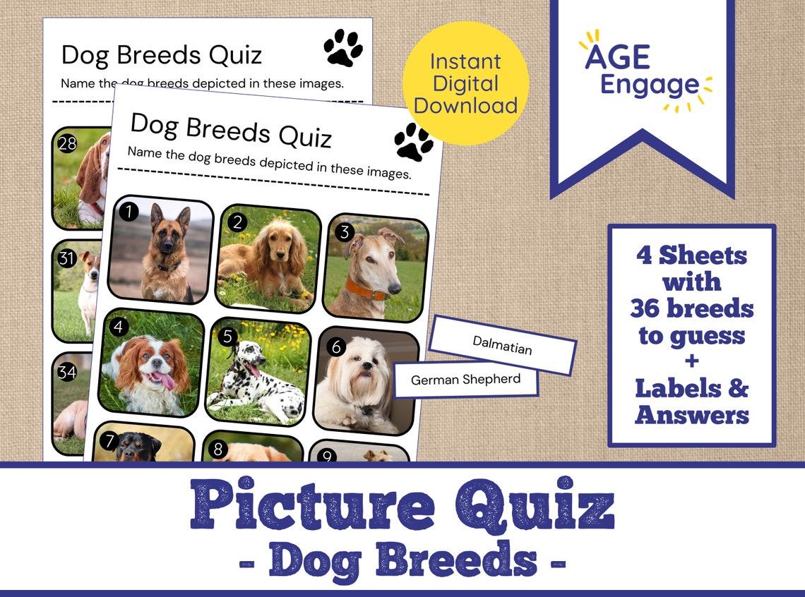 Dog Breeds Picture Quiz - Printable Senior Game - Dementia Activity ...