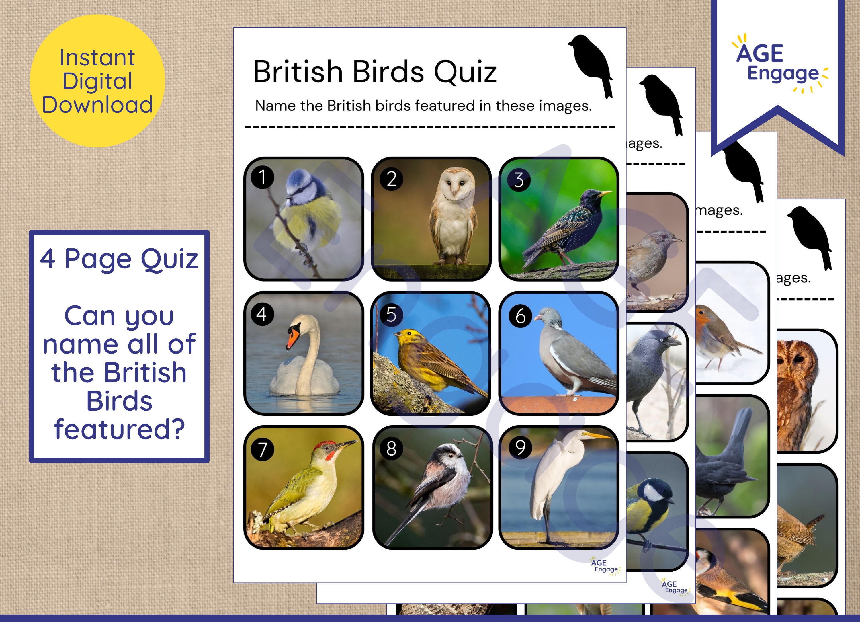 British Birds Picture Quiz - Printable Senior Game - Dementia Activity ...
