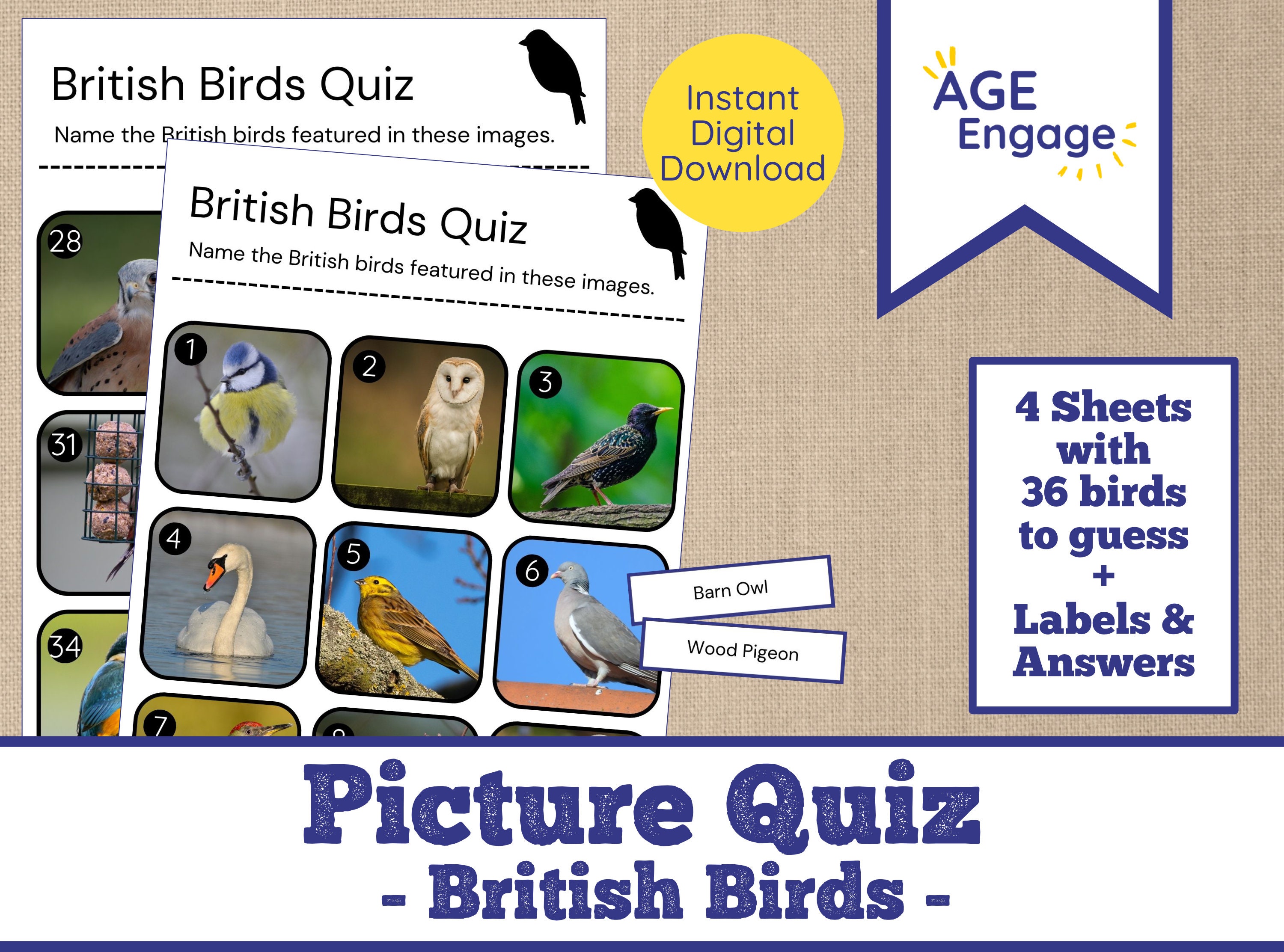 British Birds Picture Quiz - Printable Senior Game - Dementia Activity ...