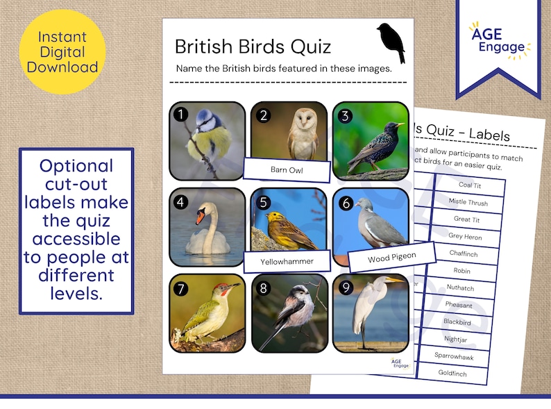 British Birds Picture Quiz - Printable Senior Game - Dementia Activity ...