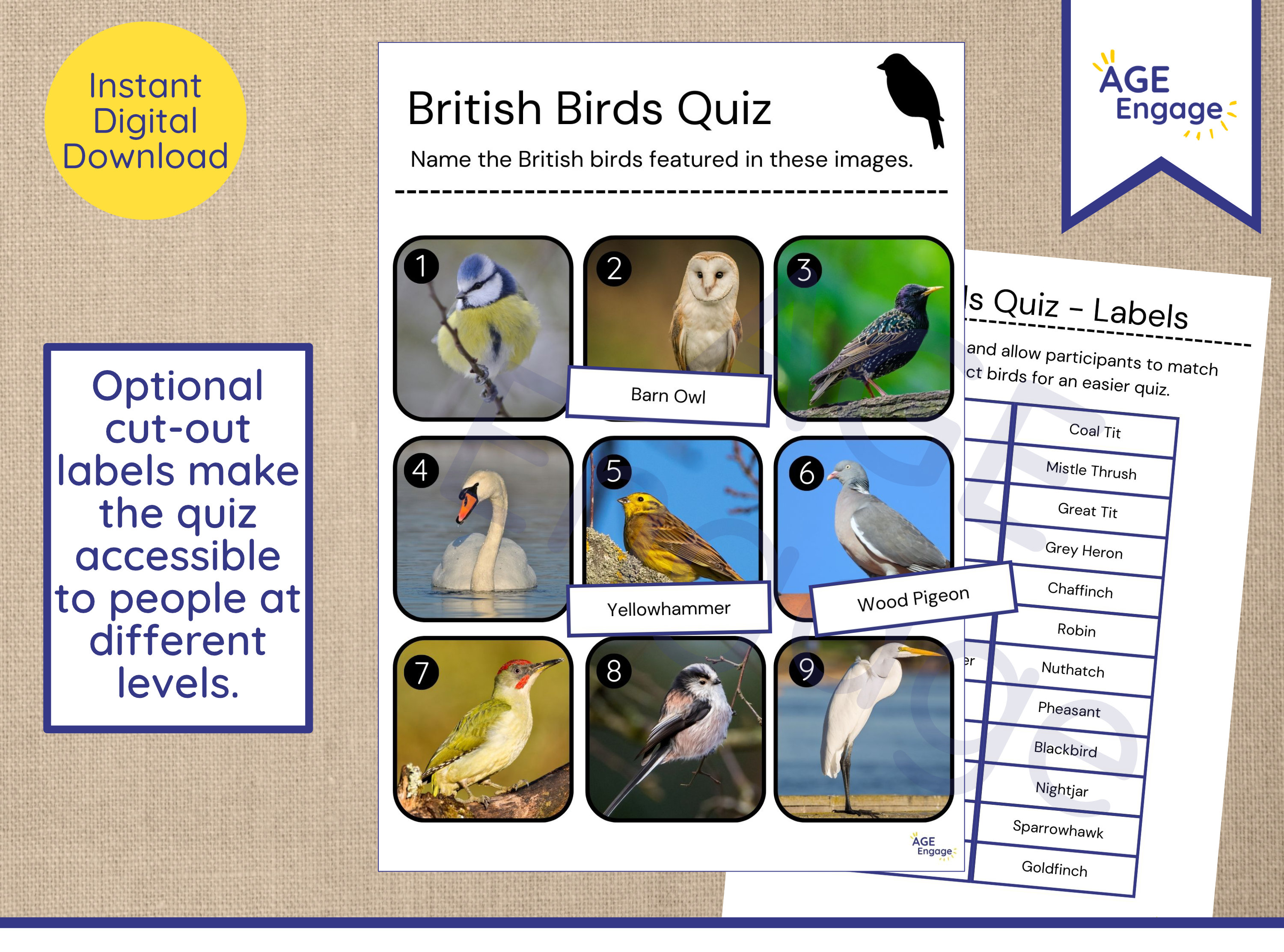 British Birds Picture Quiz - Printable Senior Game - Dementia Activity ...