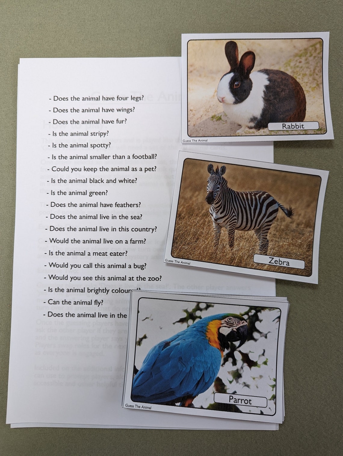 Dementia Activity Digital Download Guess the Animal - Etsy