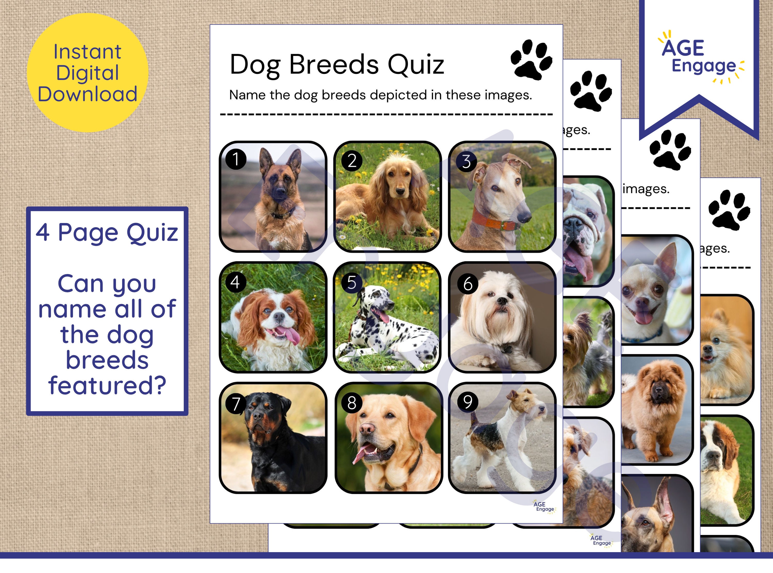 Dog Breeds Picture Quiz - Printable Senior Game - Dementia Activity ...