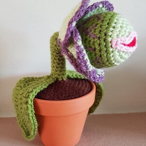 PATTERN ONLY - Baby Audrey II Plant Crochet Pattern - Little Shop of ...