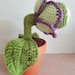 PATTERN ONLY Baby Audrey II Plant Crochet Pattern Little - Etsy