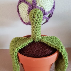 PATTERN ONLY - Baby Audrey II Plant Crochet Pattern - Little Shop of ...