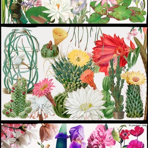 1900+ Ultimate Collage Art Elements. Graphic Design, Bundle, Mega Pack ...