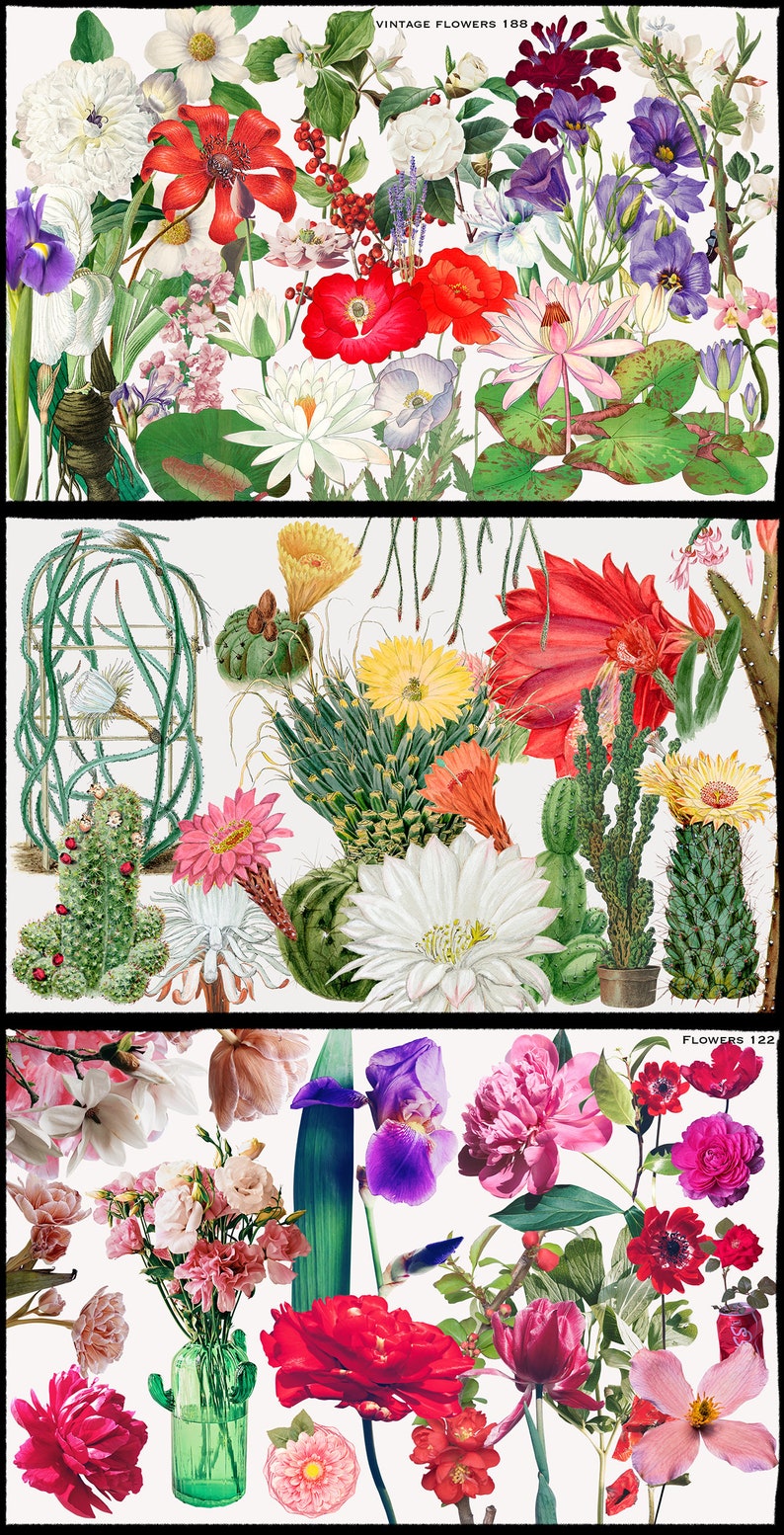 1900 Ultimate Collage Art Elements. Graphic Design Bundle - Etsy