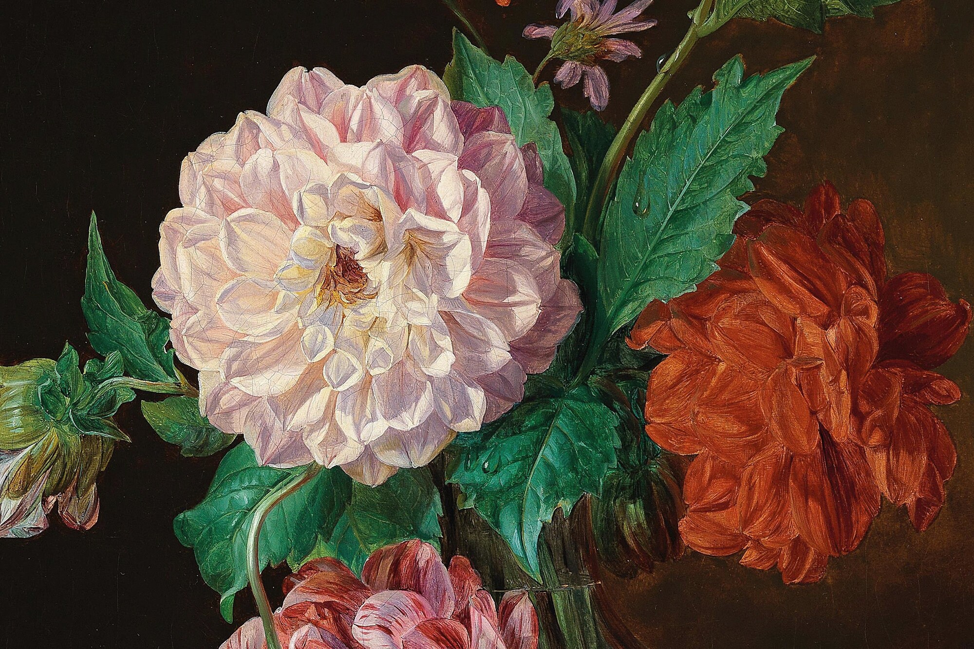 28 Josef Lauer HQ Still Life Paintings Flowers Forest Botanical Wall ...