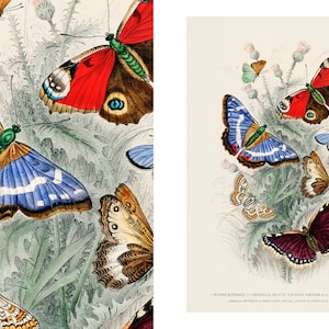 130+ Oliver Goldsmith HQ Printable Illustrations Vintage Llithographs ...