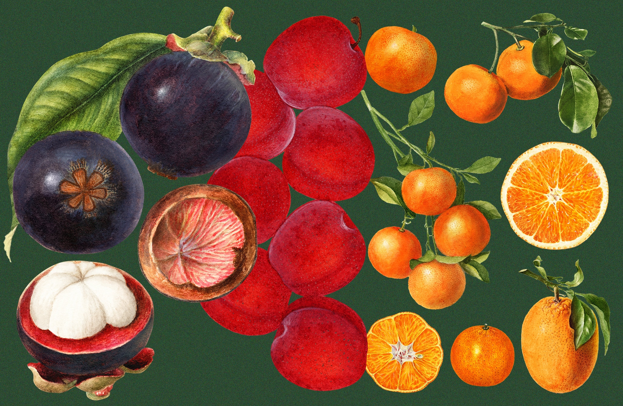 260 Fruits and Vegetables Cliparts HQ Pngs Collage Art Bundle Elements ...