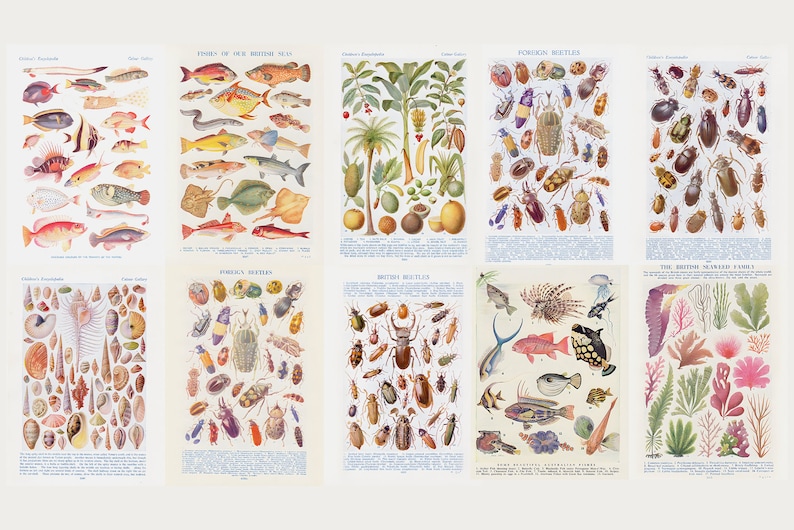20+ Pastel Vintage Charts Vintage Printable Cute Digitally Enhanced ...