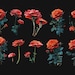 Gothic Red Roses, PNG HQ, Surreal Roses, Dark Flowers, Collages, Dark ...