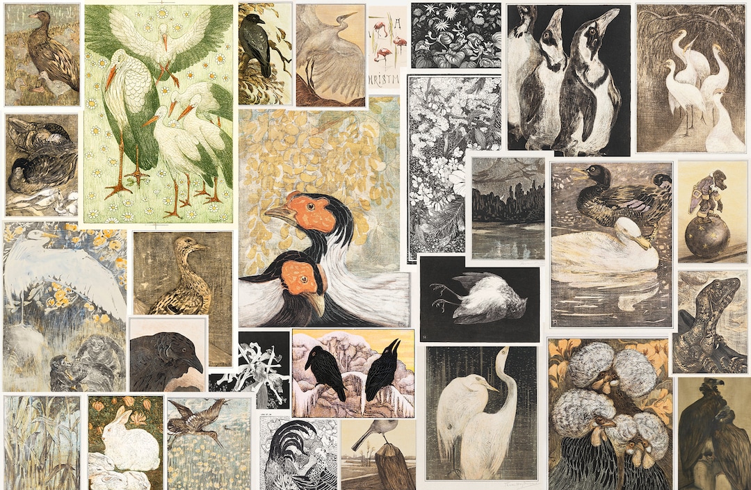 160 Theo Van Hoytema Paintings Peacock Birds Tattoo Line Art Chicken ...