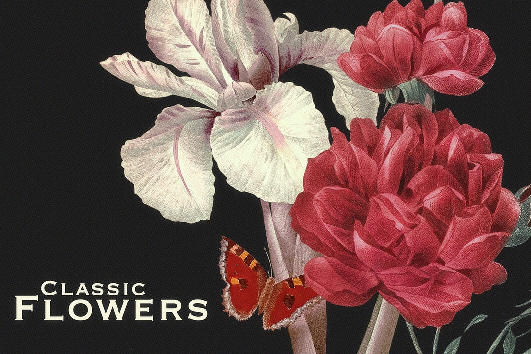 70 Classic Flowers PNG HQ Clipart Vintage Illustrations Graphic Poster ...