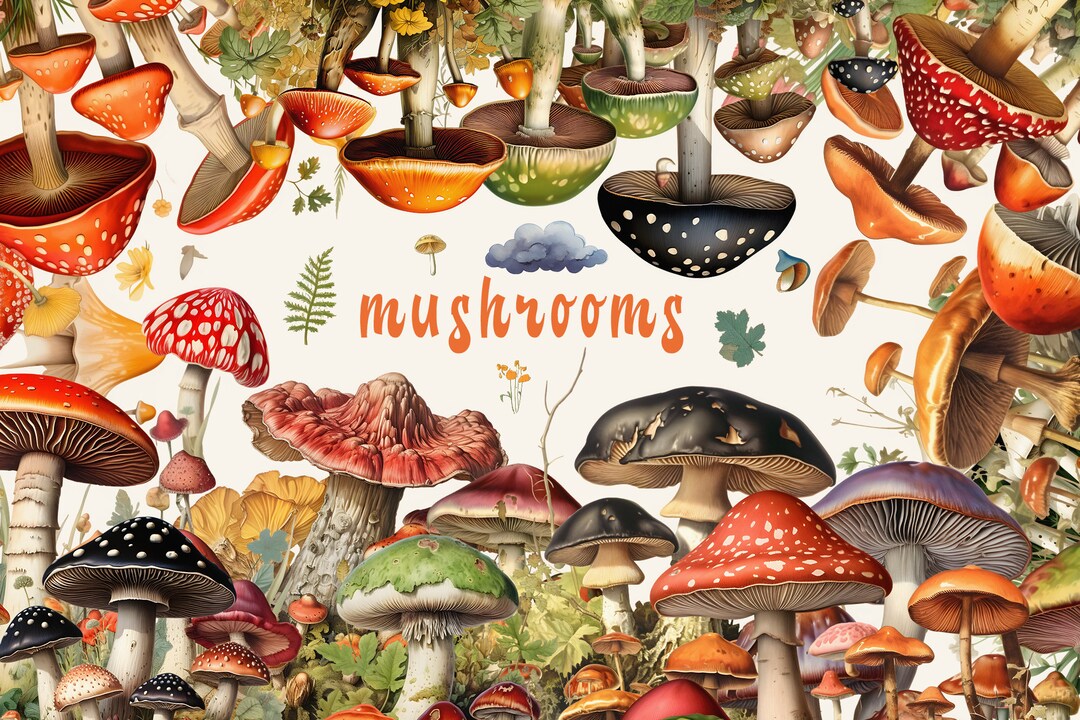 Mushrooms Illustrations 50 Clipart Very HQ Printable, Collage Art ...